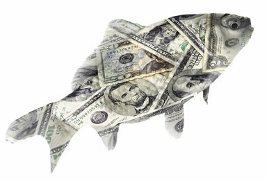 14 Ways to Make Your Aquarium Cheaper – DustinsFishtanks