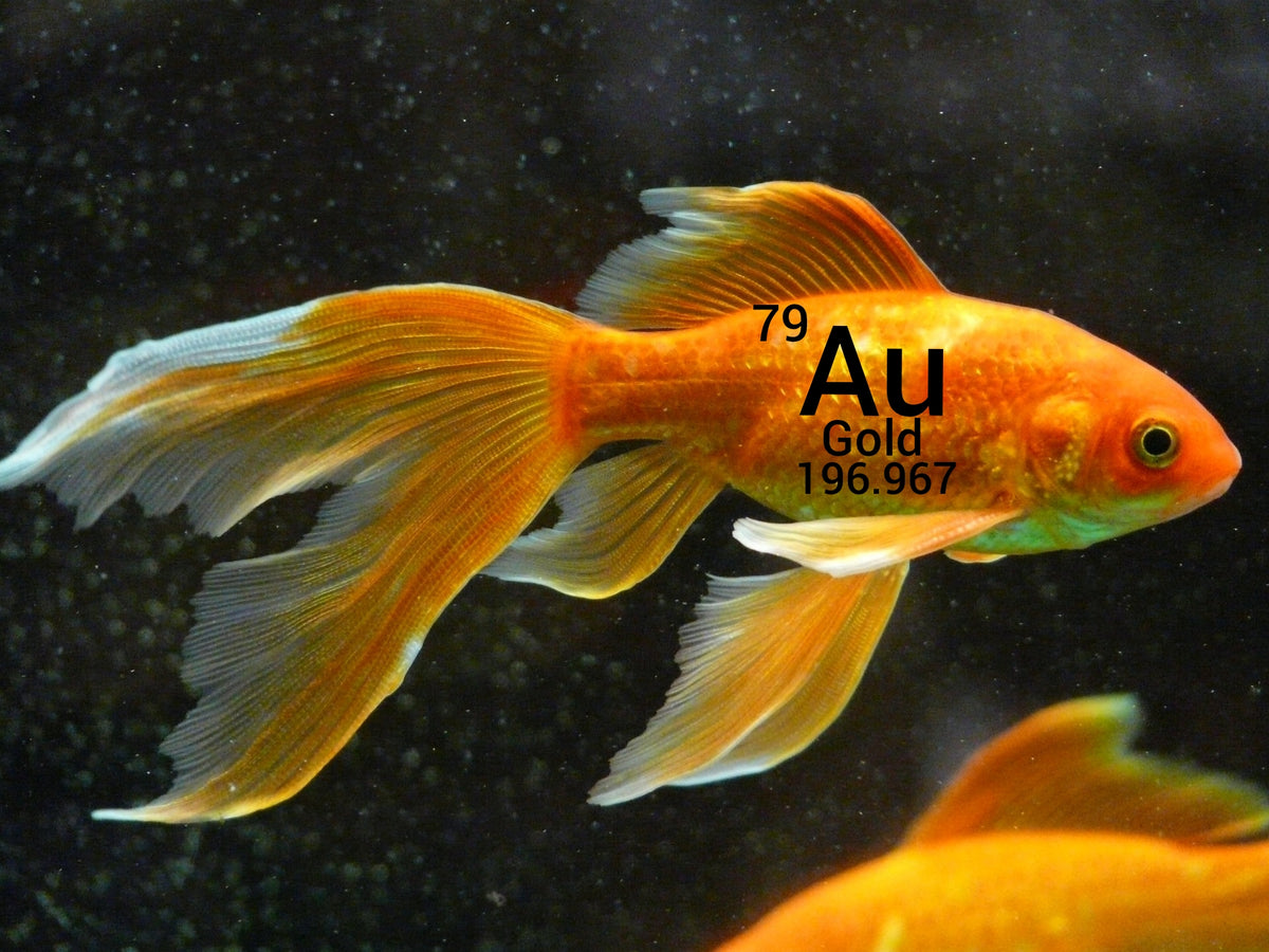 Aquarium Science Series: Water Chemistry without the Che-misery ...